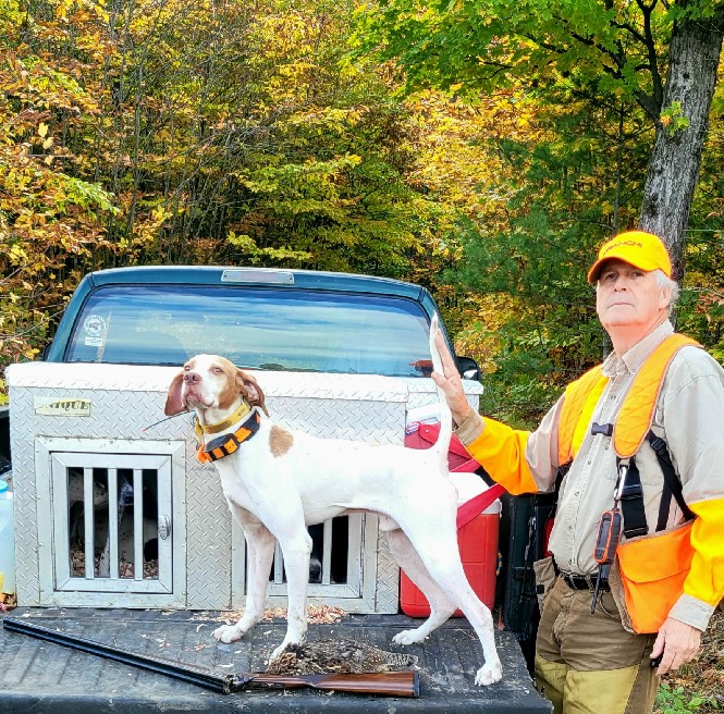 CROSS TIMBER ELHEW EXPLORER